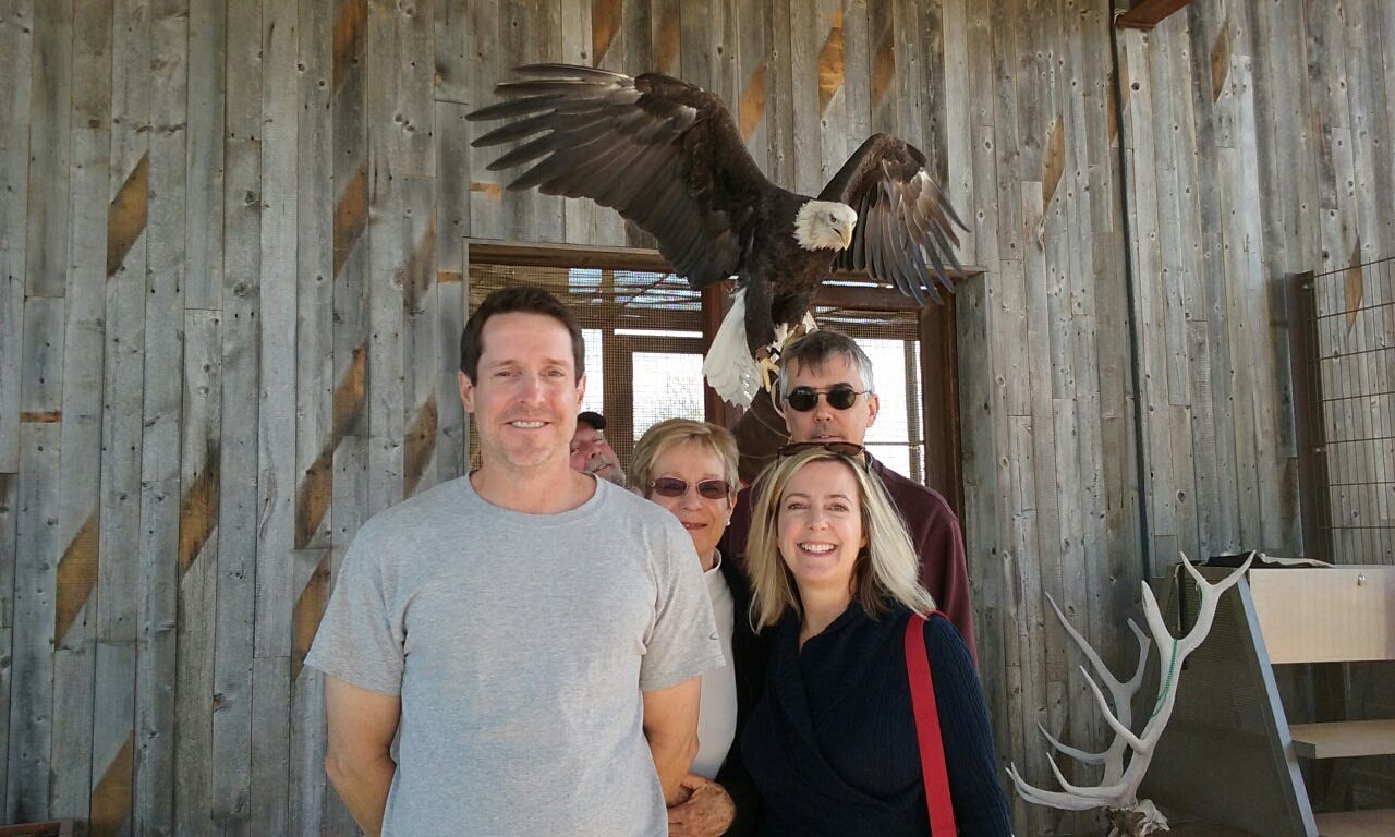 Wildlife, Wildlands, Education, Art and Advocacy