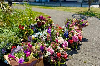 Heidi’s Bachram’s Substack | Heidi Bachram | Substack