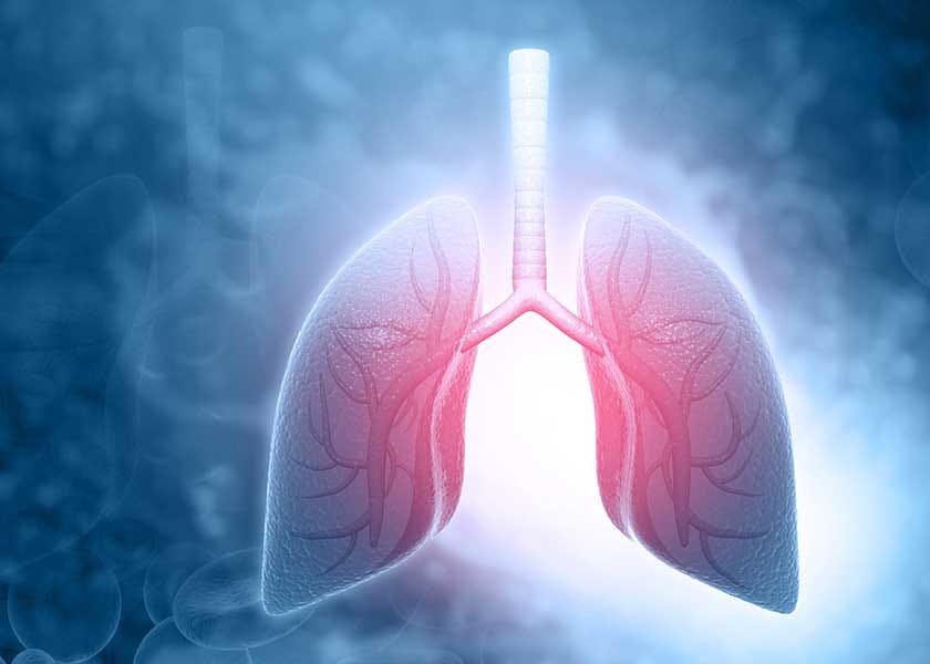 Inhaled Microplastics Impair Lung Immunity and Spread to Organs