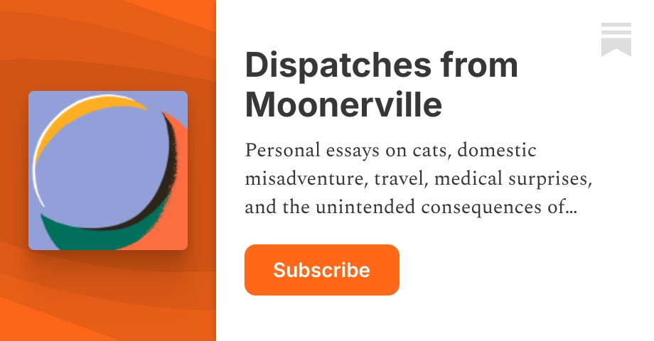 Insectual Irritations - by Lisa-Maria Padilla