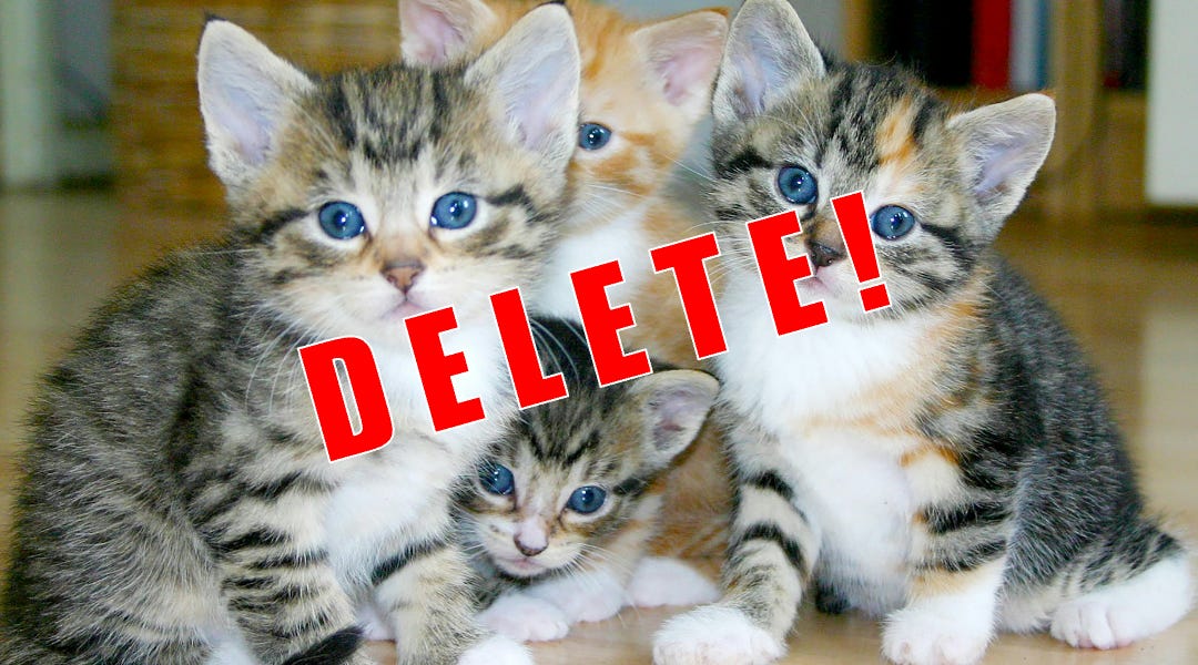 Brits told to delete cat pics to fight drought while water bosses flush ...