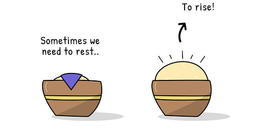 The Visual Digest | Hidde Douna | Substack