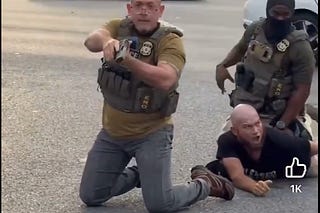 Law and Chaos | Liz Dye | Substack