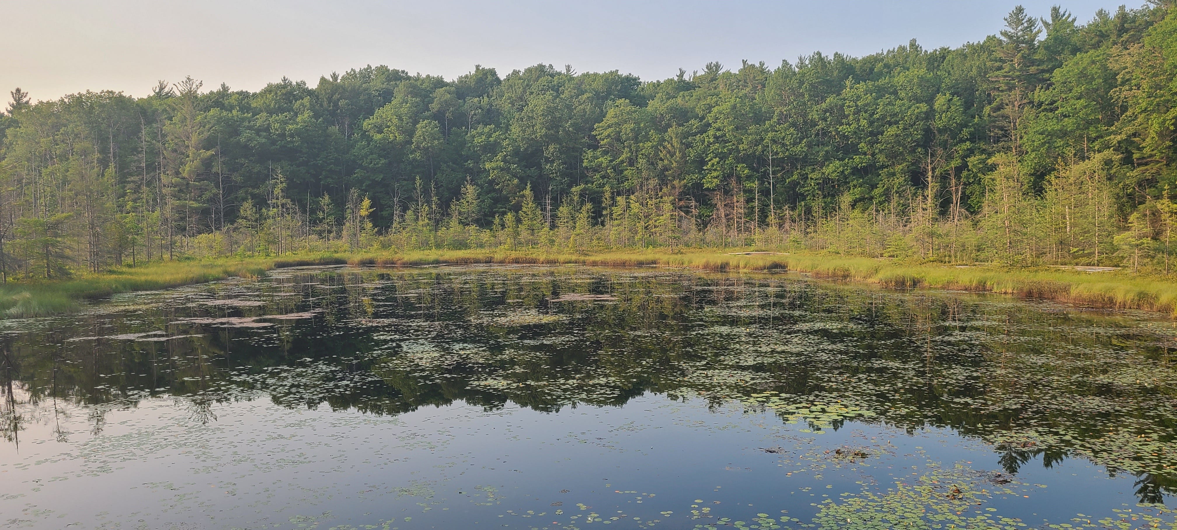 Bogs, Beaches, and Belonging