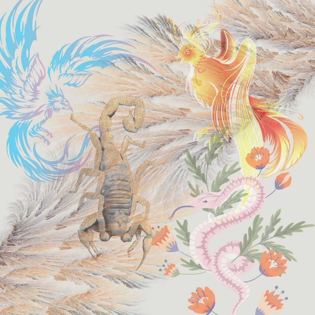 The Scorpion, The Eagle, The Phoenix and The Snake