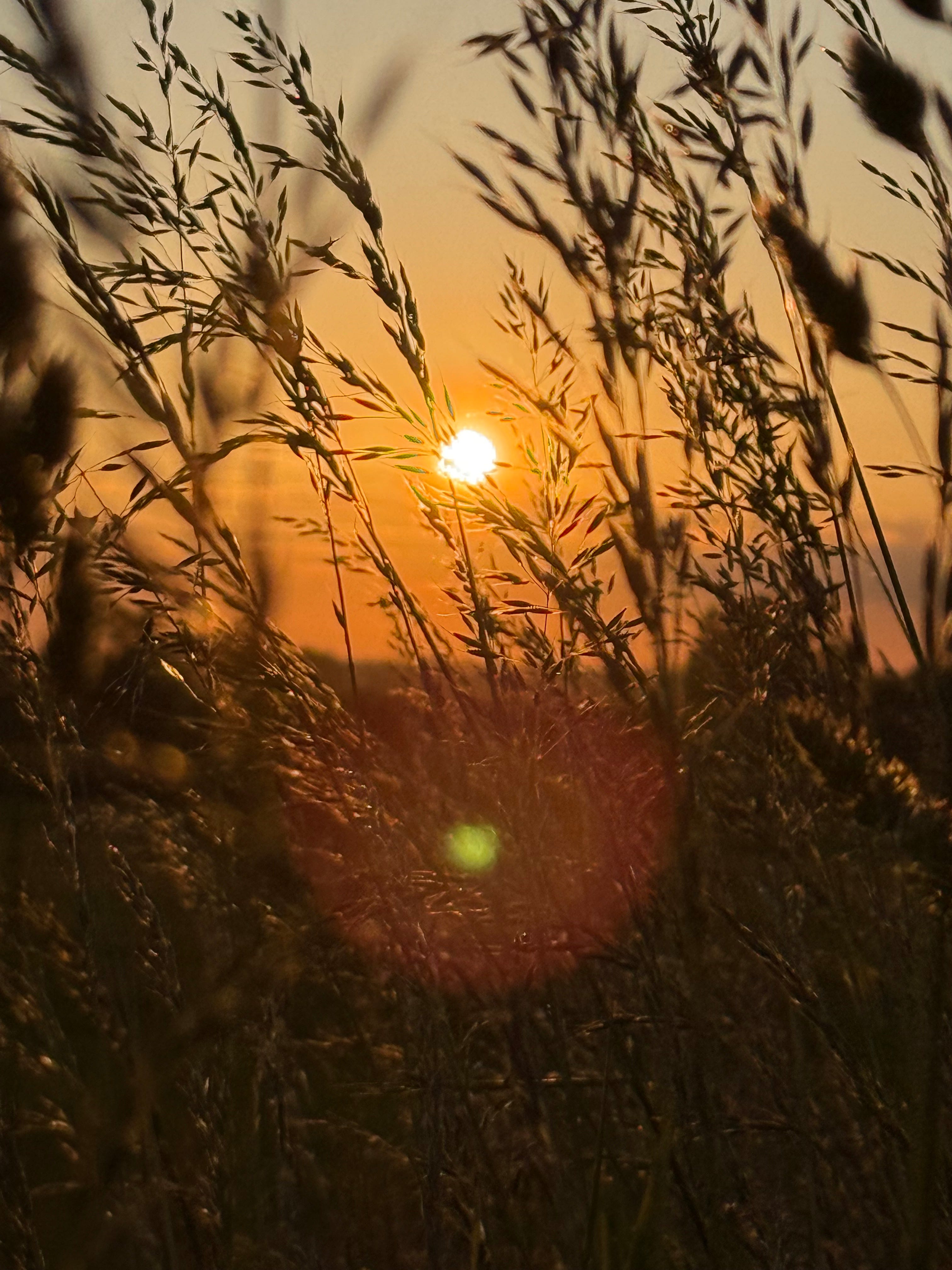 When Our Paths Cross - by Anna Piechowska - Anna’s Substack