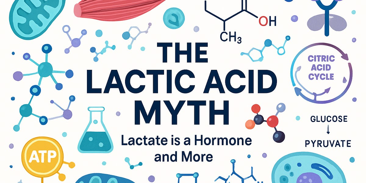 The Lactic Acid Myth That Won’t Die: What Science Actually Says