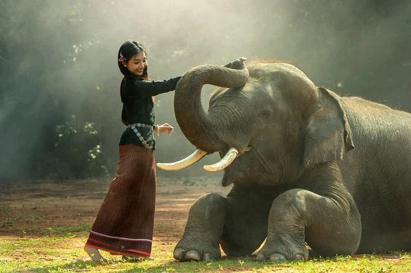 Why Is Elephant Symbolism Celebrated in Art and Myth?