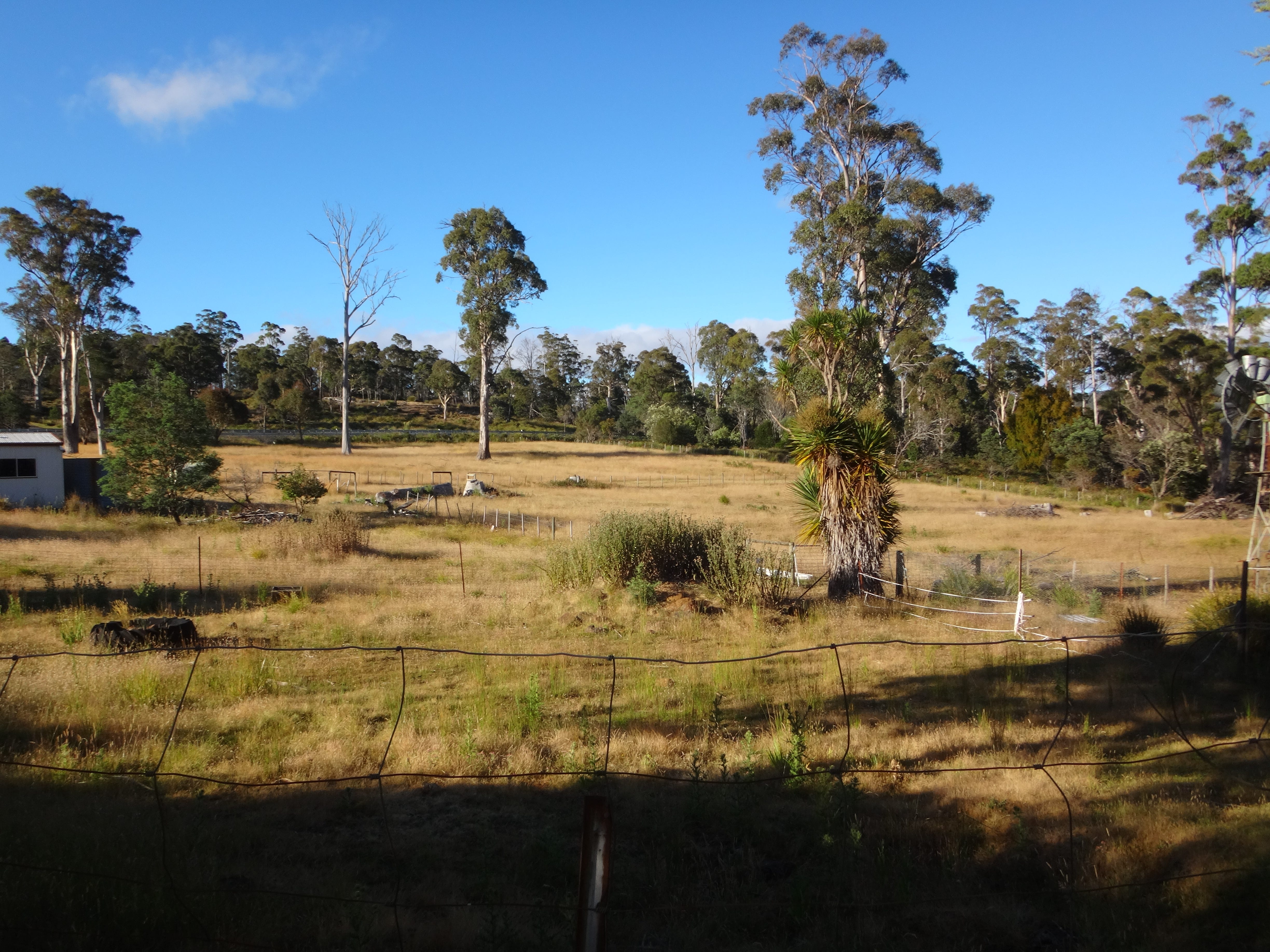 Travel Diaries - Part 4 (and final)