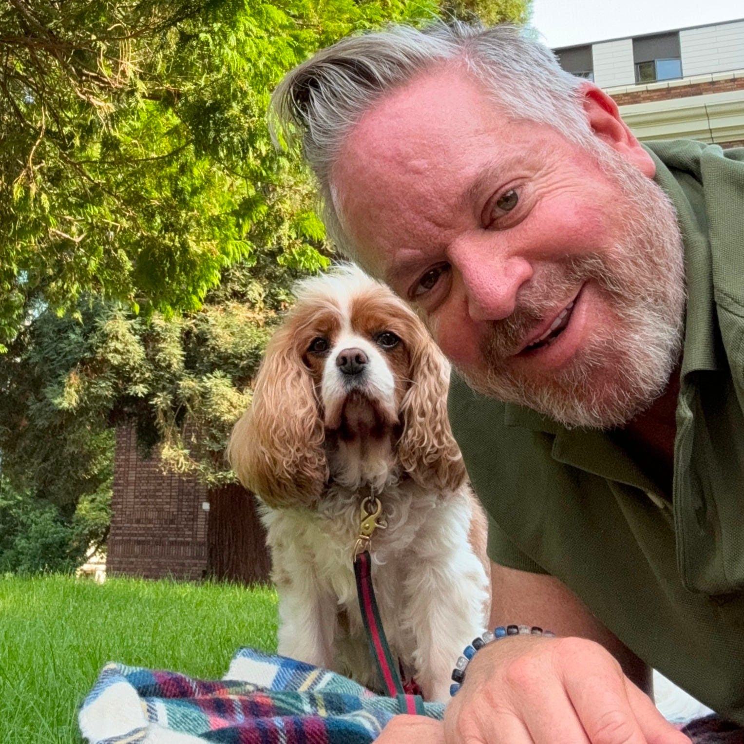 Scout Colmant | Substack