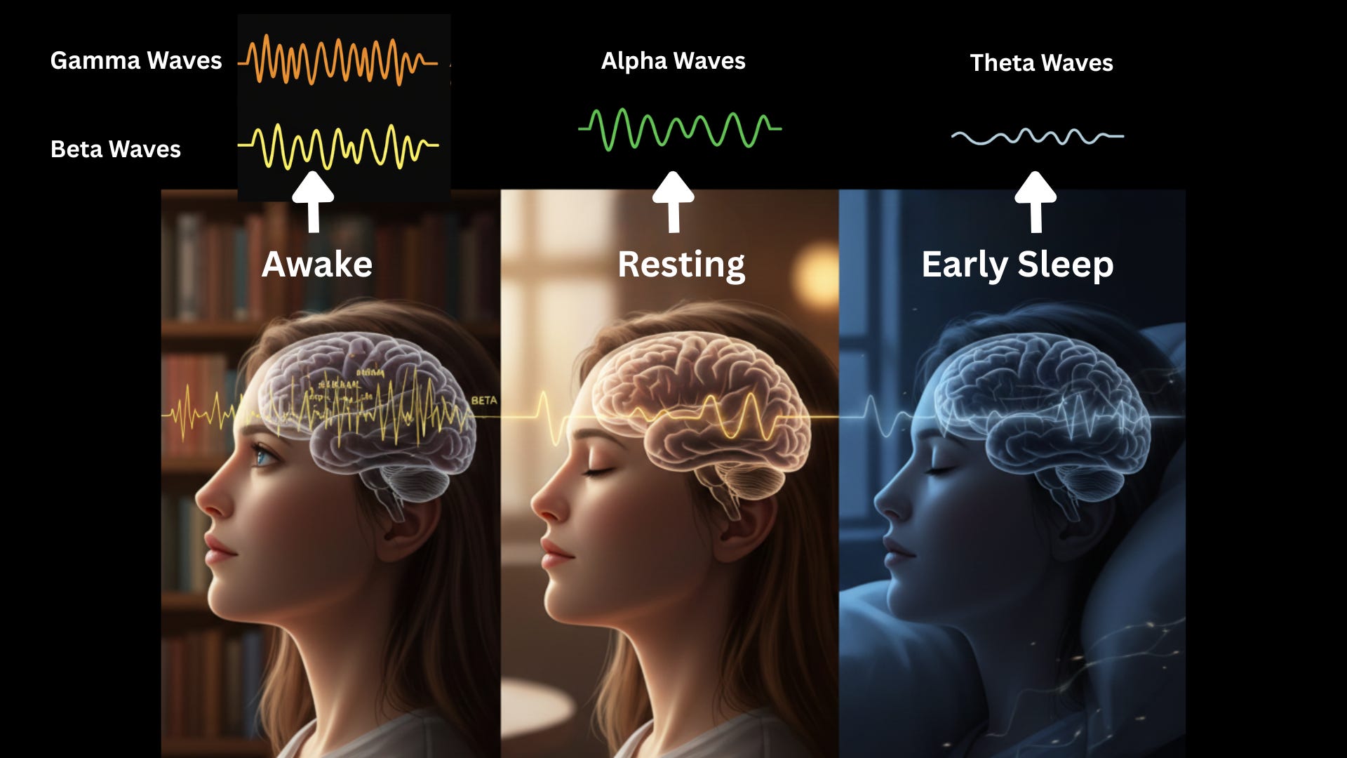 The Science of the Siesta - Harshi Peiris, Ph.D.