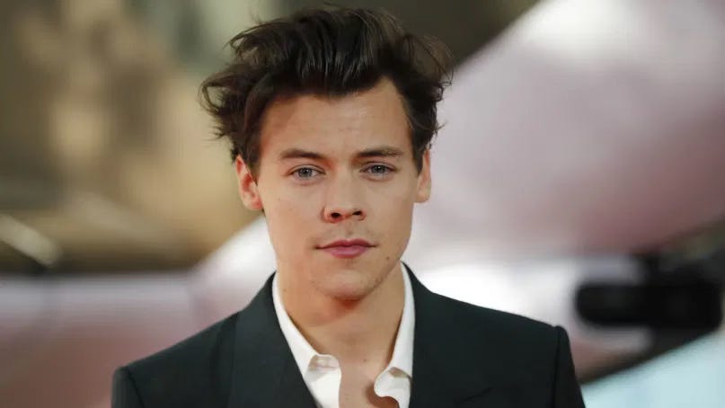 Harry Styles Turns 30 - Learn All His Fandom Nicknames