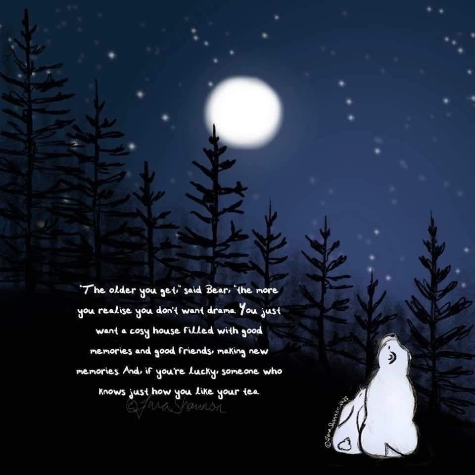 Daily Rabbit & Bear - by Tara Shannon - Tara’s Substack