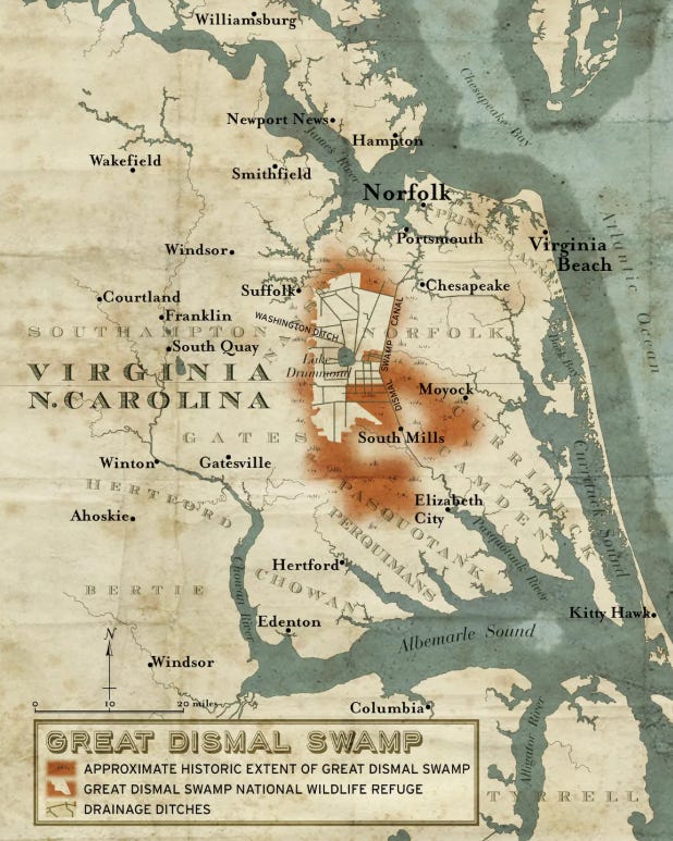 The AGS Globe: Swamps as Freedom Spaces: Maroon Societies in the U.S. South