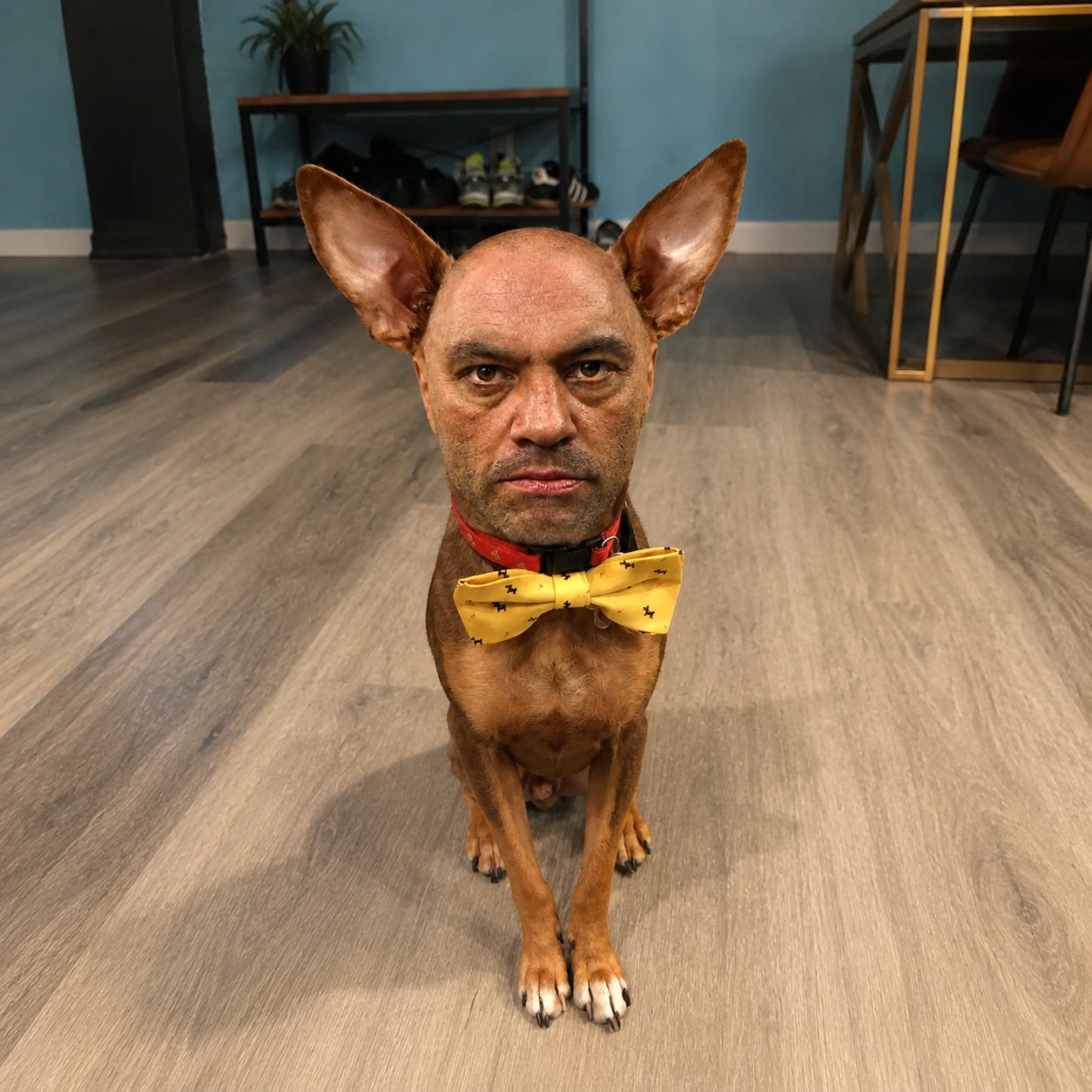 Fuck Joe Rogan, DISrespectfully. - A. Eevie Bateman