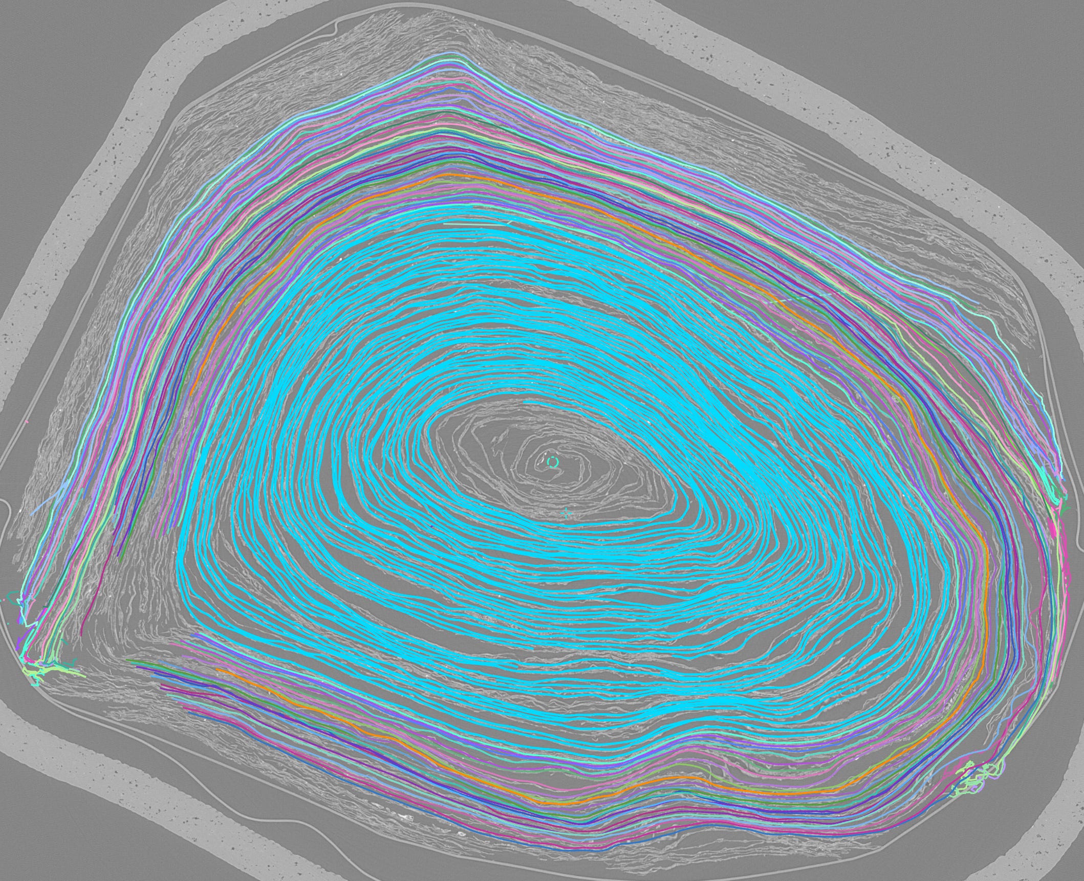 ~70% of PHerc. 172 is now digitally unwrapped