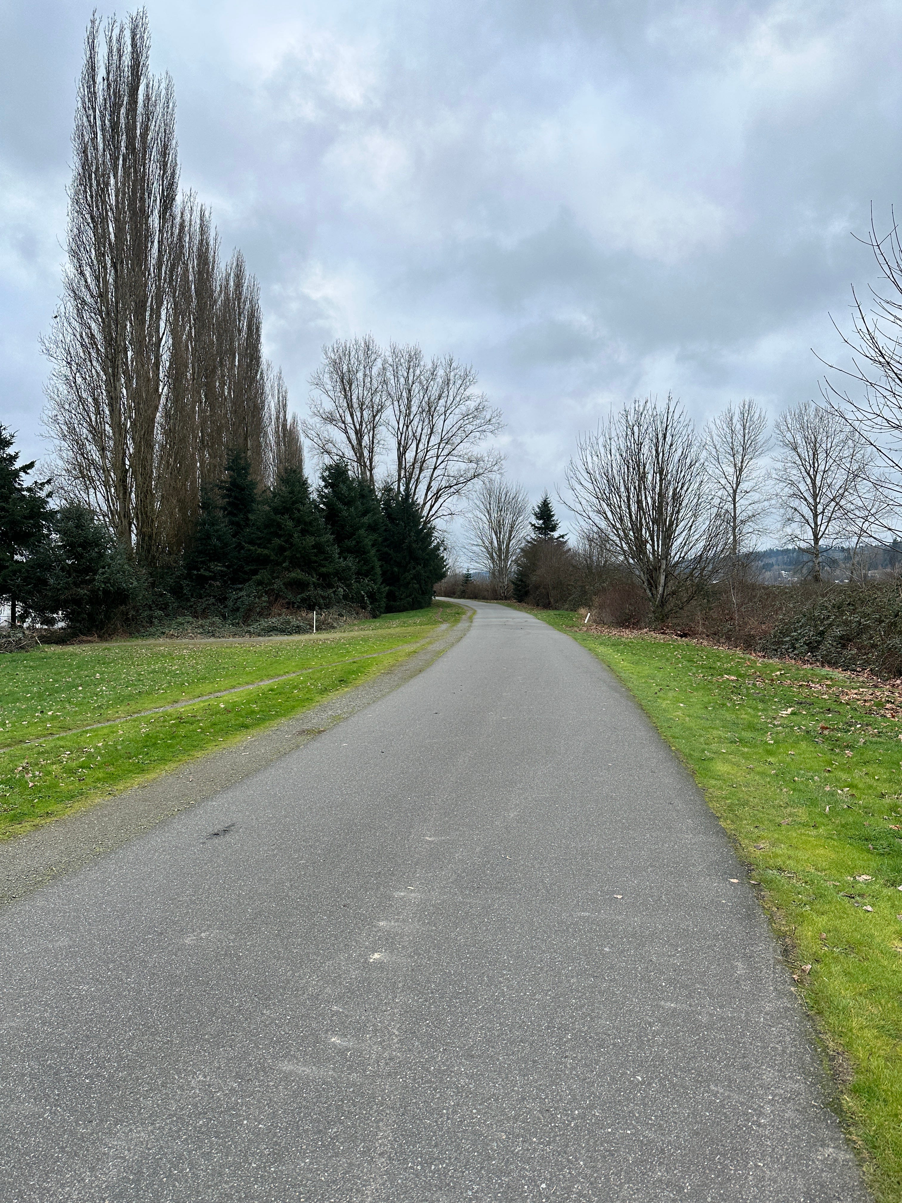 The Anatomy of a Marathon Training Plan: The Specific Phase (Part 2 of 3)