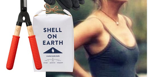 Lucy Williams | Substack