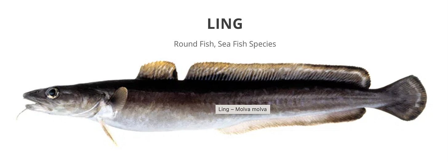 ling fish