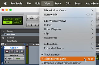 Pro Tools: How to Fine Adjust Track Volume in the Edit Window