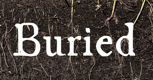 A Work Of Fiction | Hanna Delaney | Substack