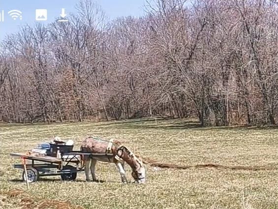 Human nature - by Jeff McFadden - A Systemic Approach