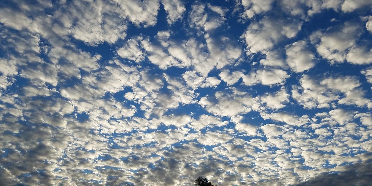 The Secret Language of Clouds: What Those Shapes Really Mean