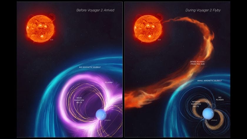 Minor storm. Major glitch. Civilization held together by GPS and vibes ...