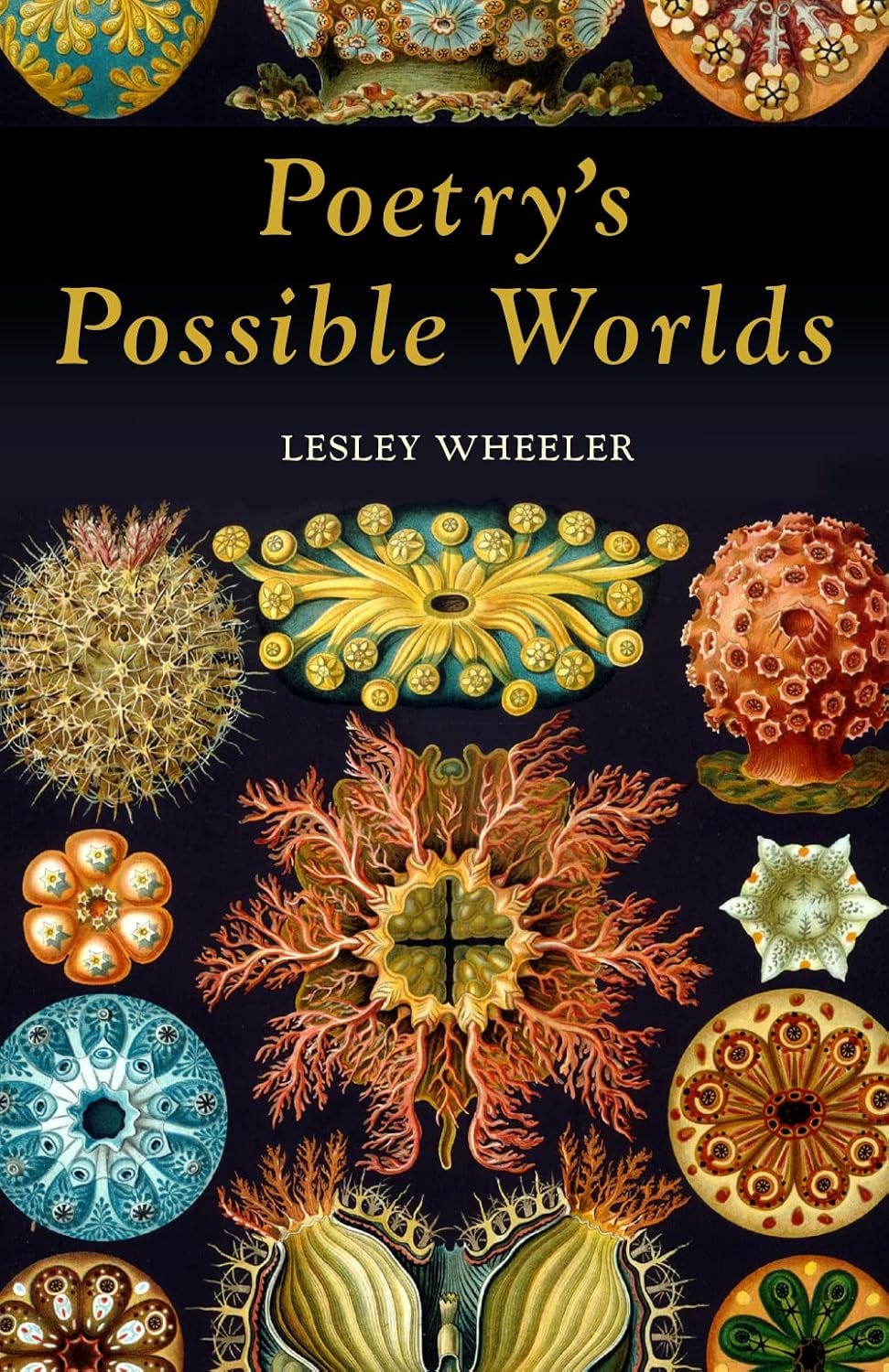 Poetic Ecologies: A Conversation Between Jane Satterfield and Lesley ...