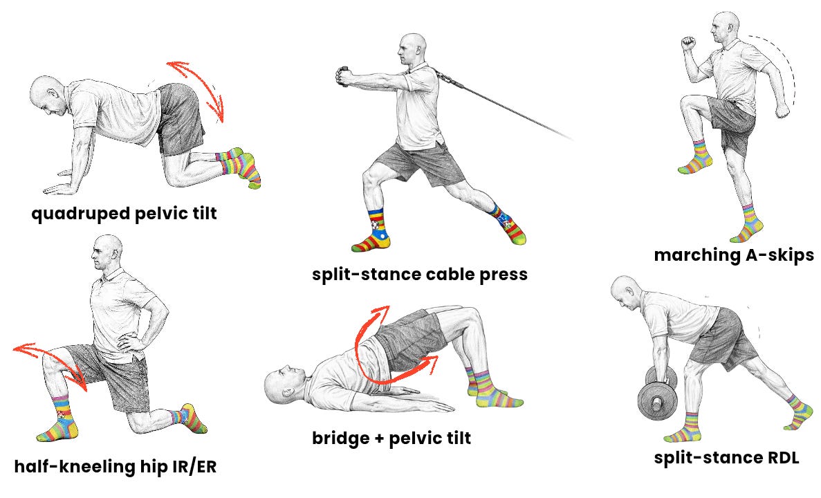 Pelvic-Hamstring Rehabilitation Framework