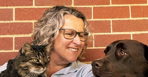 Alicia Kennedy | Substack