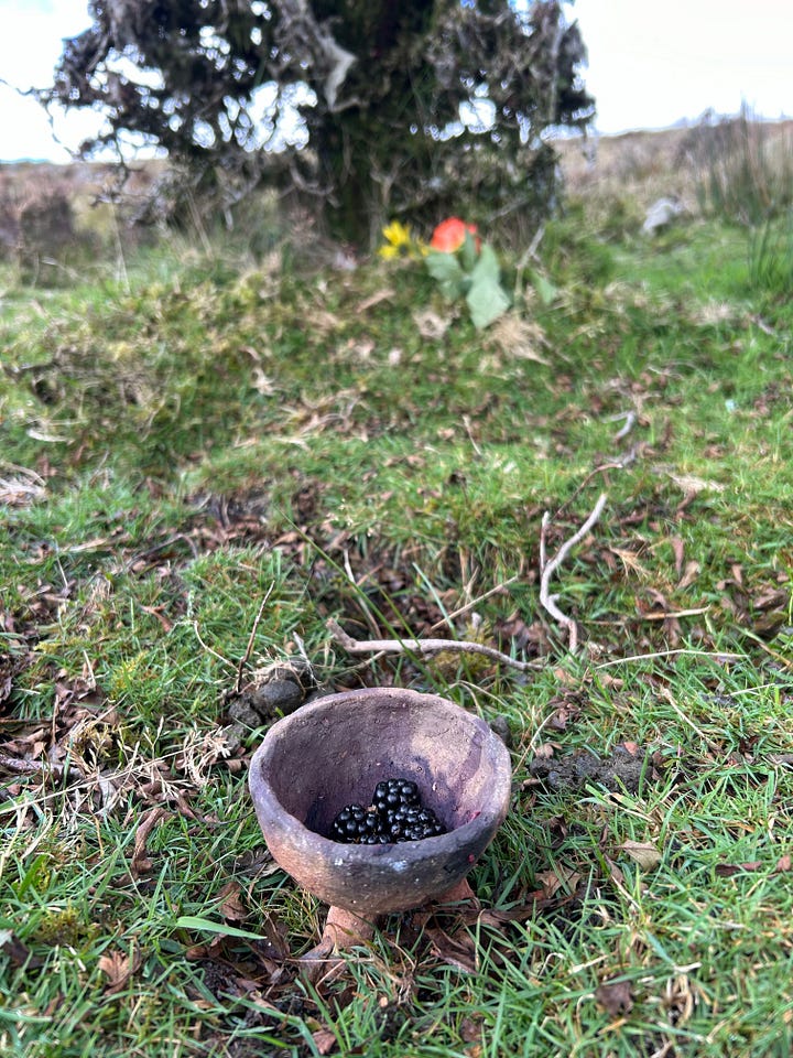 Feeding the Dragons - by Isla Macleod - Rituals For Life