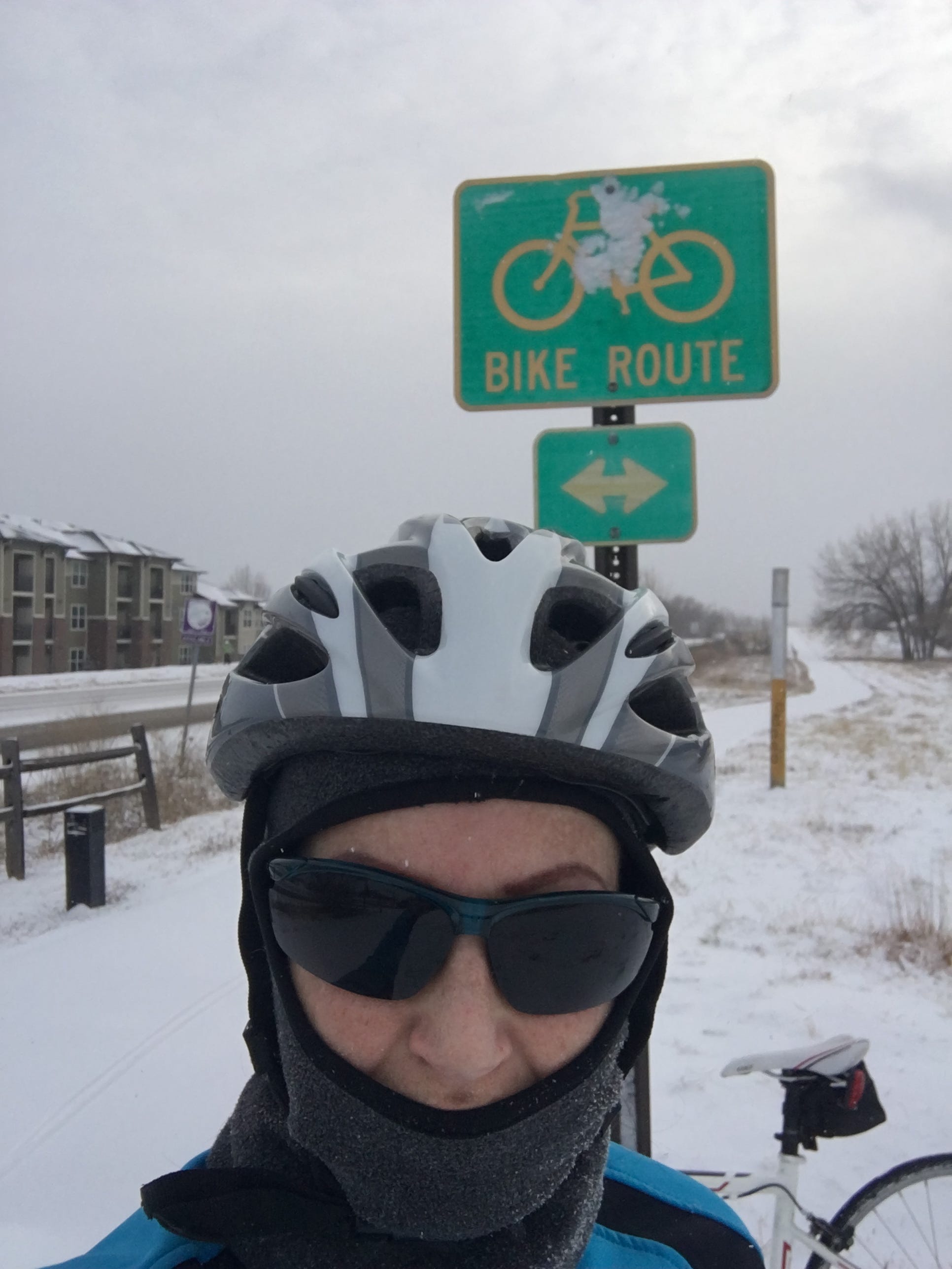 The Wild Ride Was Worth It - by Andi Pigott Martin