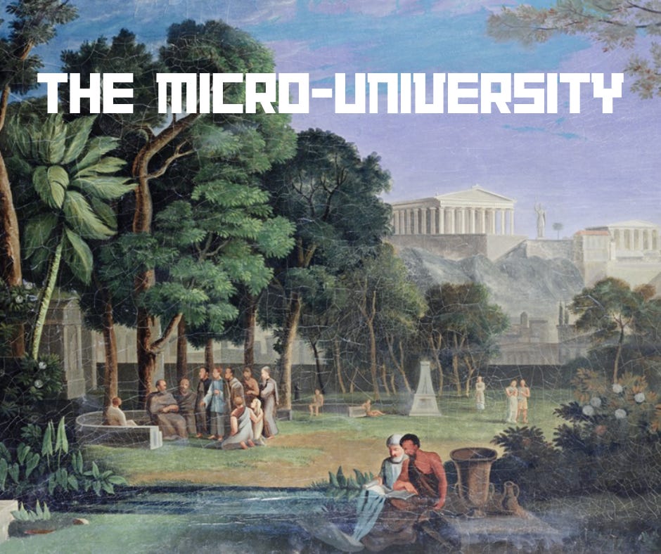 The Micro-University - by Paul Musso, PhD