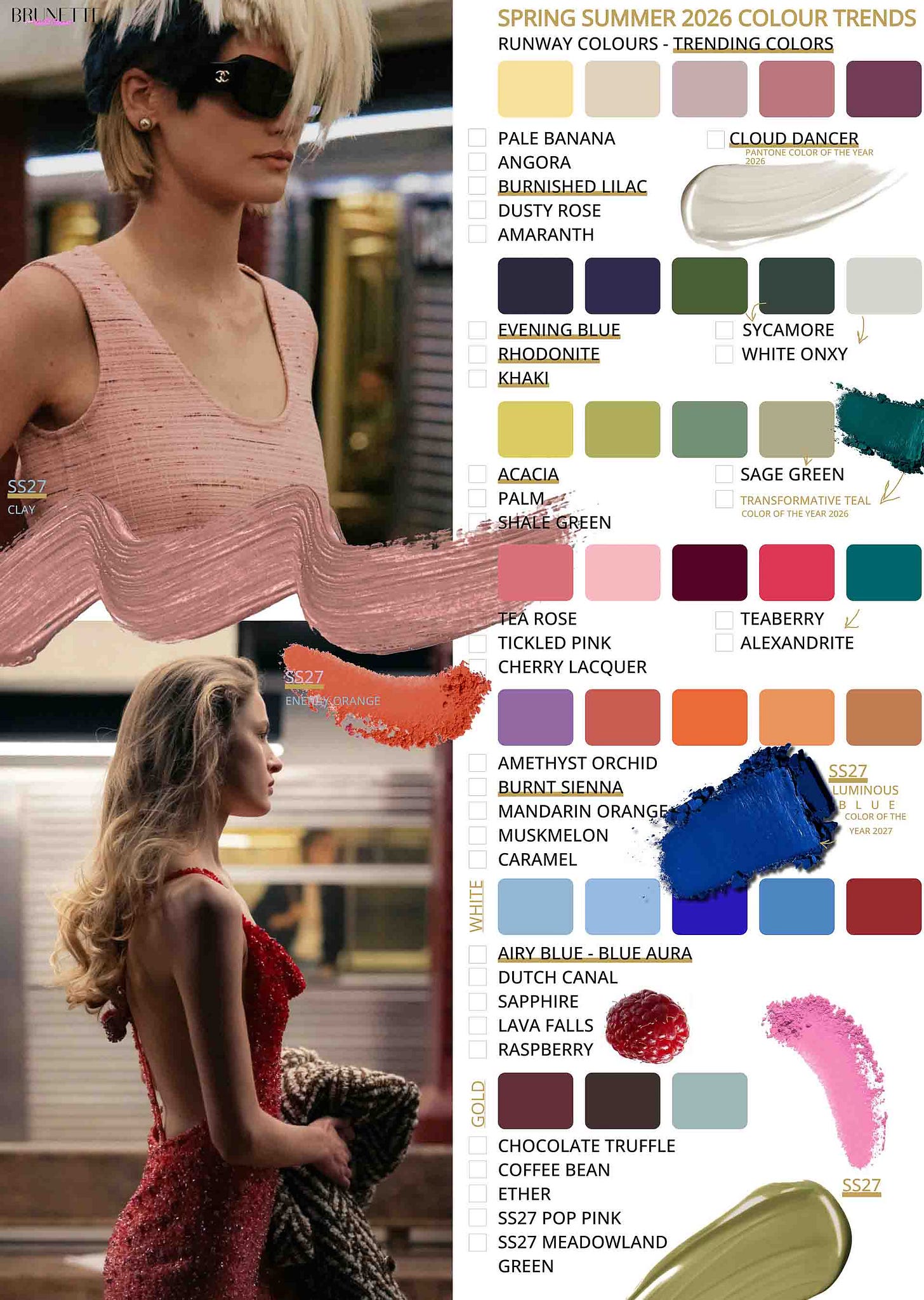 SS26 COLOR TRENDS - Brunette from Wall Street