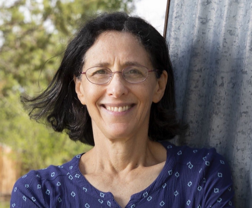 Melanie Mitchell | Substack