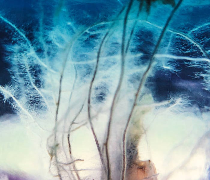 The River That Flows Both Ways - Tony Fletcher, Wordsmith