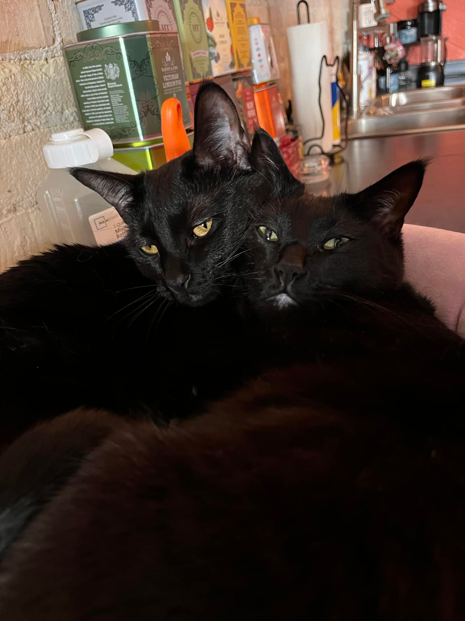 Even in death, Rollie refuses to miss his shift.