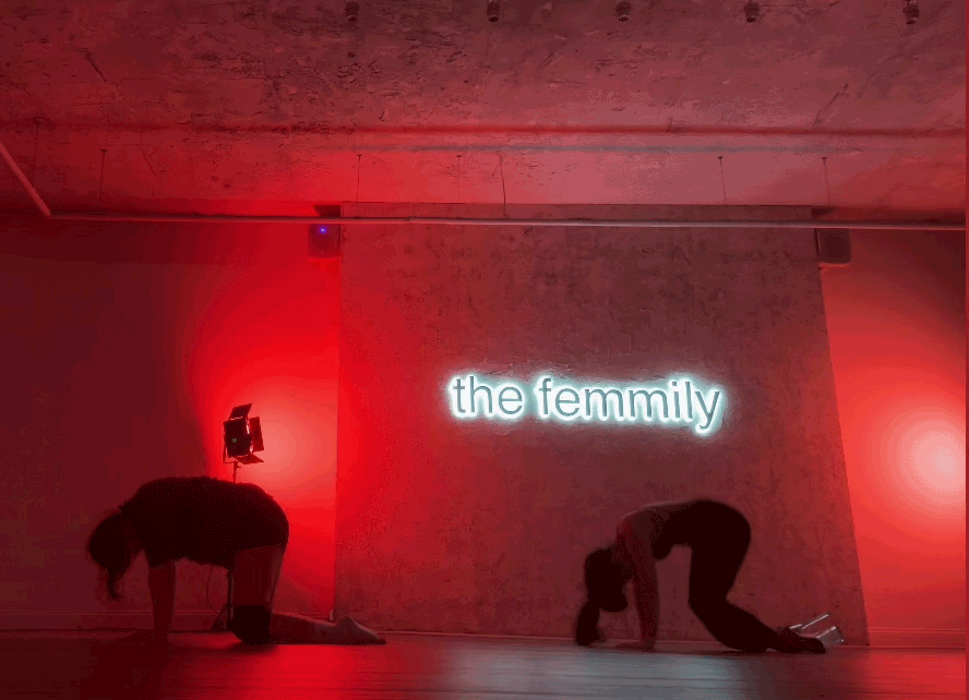 looking back on 2025, and what i did in december 🌠 - by nc