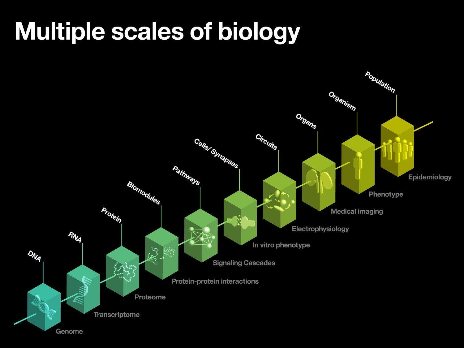 ESM3 and the Future of Protein Language Models