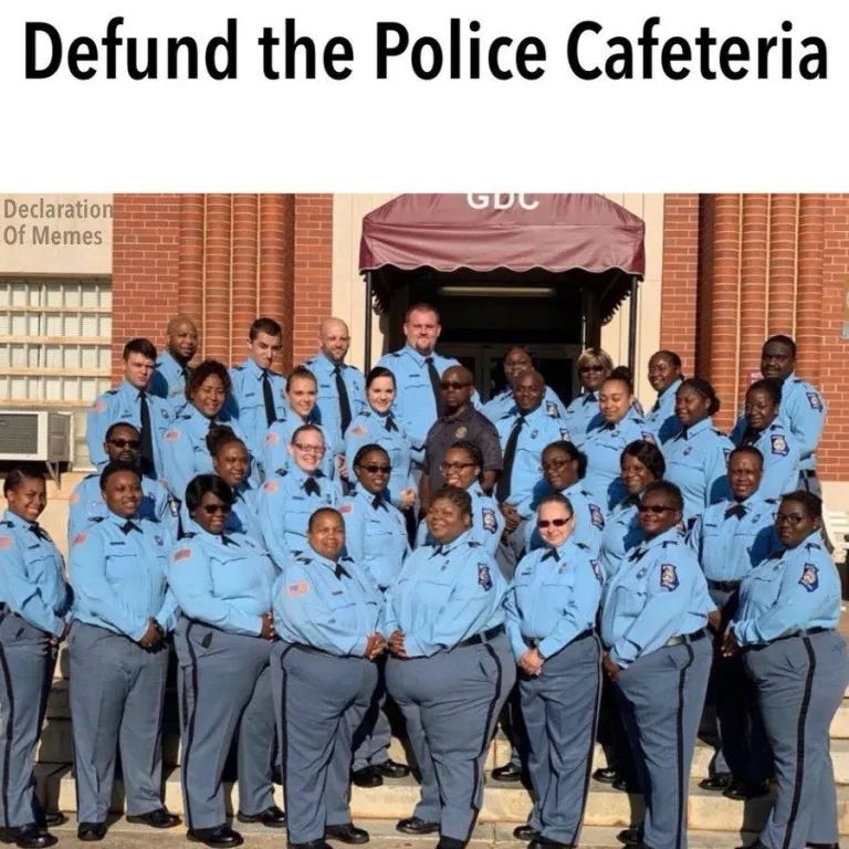 Ann Barnhardt Memes - Edwin’s Newsletter #1