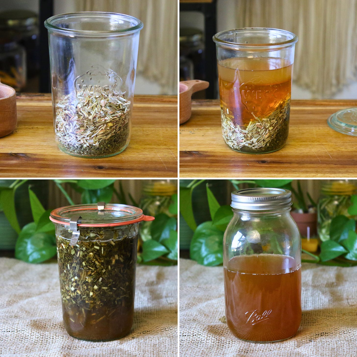 Spearmint & Lemongrass Oxymel 🌿 - by Tiffany Pelkey