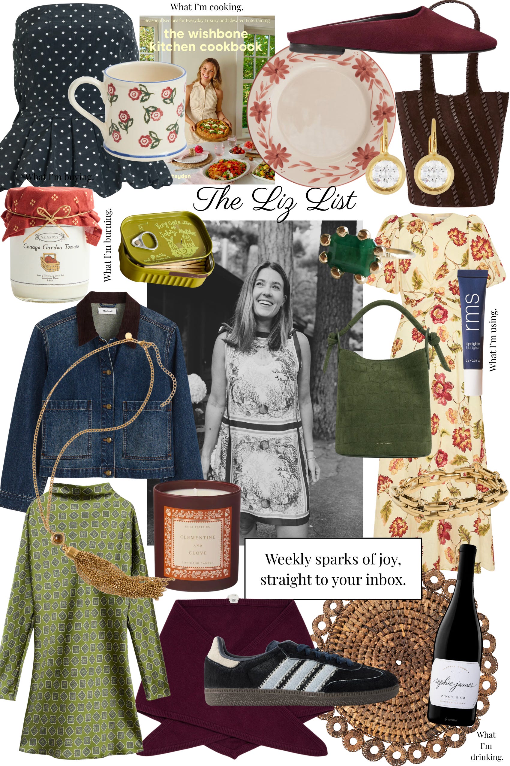 The Liz List, vol. 4 - A Family Affair by Liz Adams