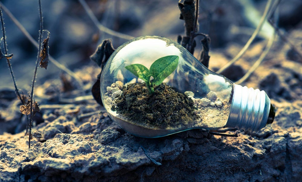 Soil Science 101: What Makes Soil Healthy and How to Improve Yours