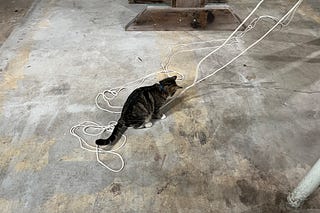 Ariel’s Substack | Ariel Anderssen | Substack