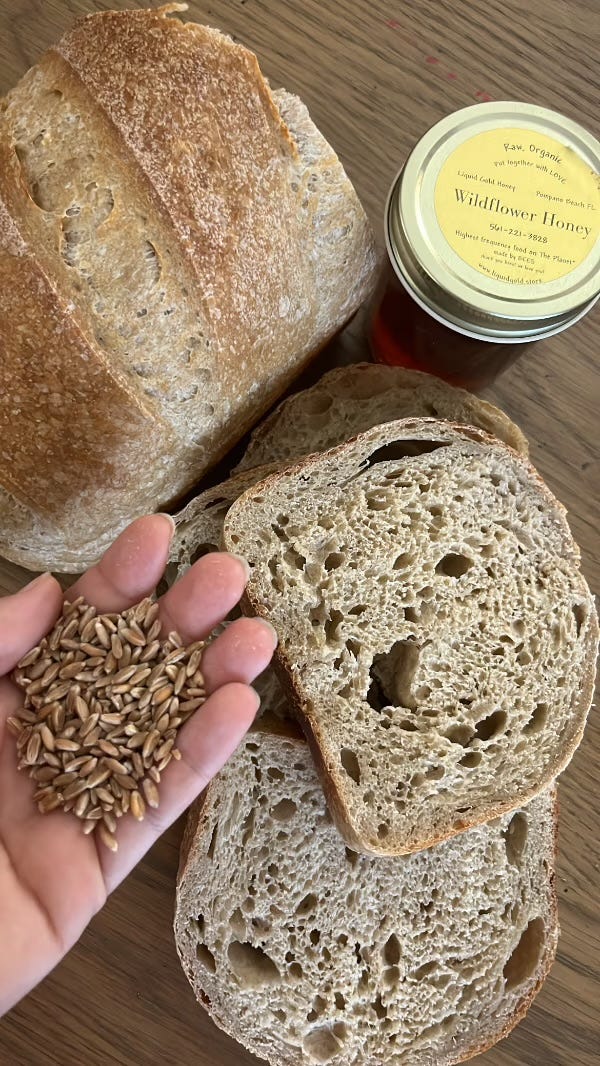 Why I Choose Ancient Grains for My Family (And How I Use Them Every Day)