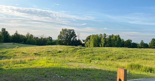 House of Green | Alexandra Fasulo | Substack