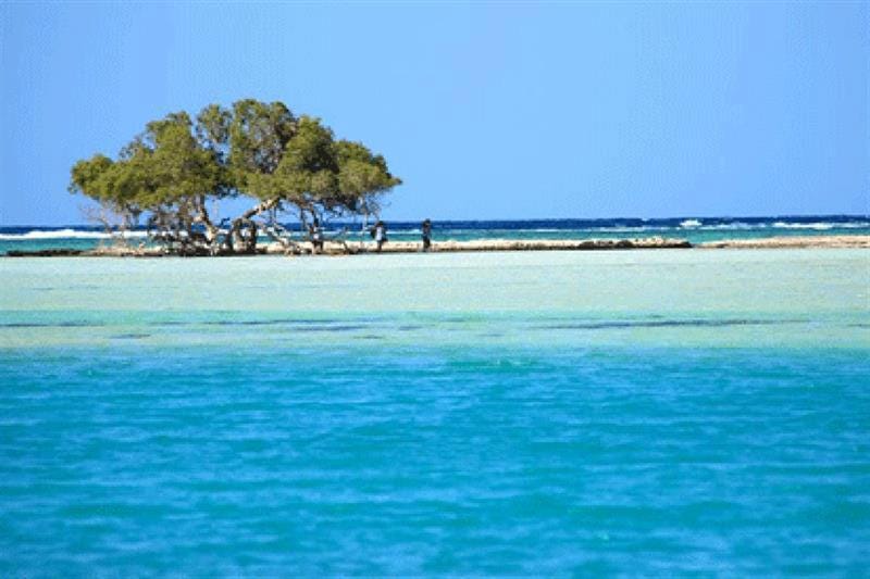 Egypt, January 20th 2026, - by Denis Collot