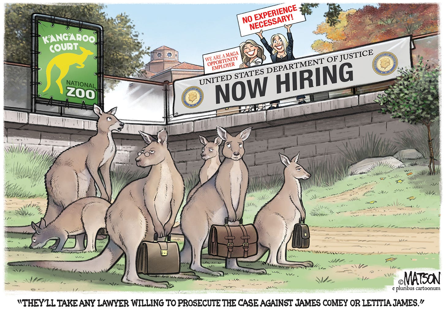 Order in the court - by RJ Matson - The Contrarian