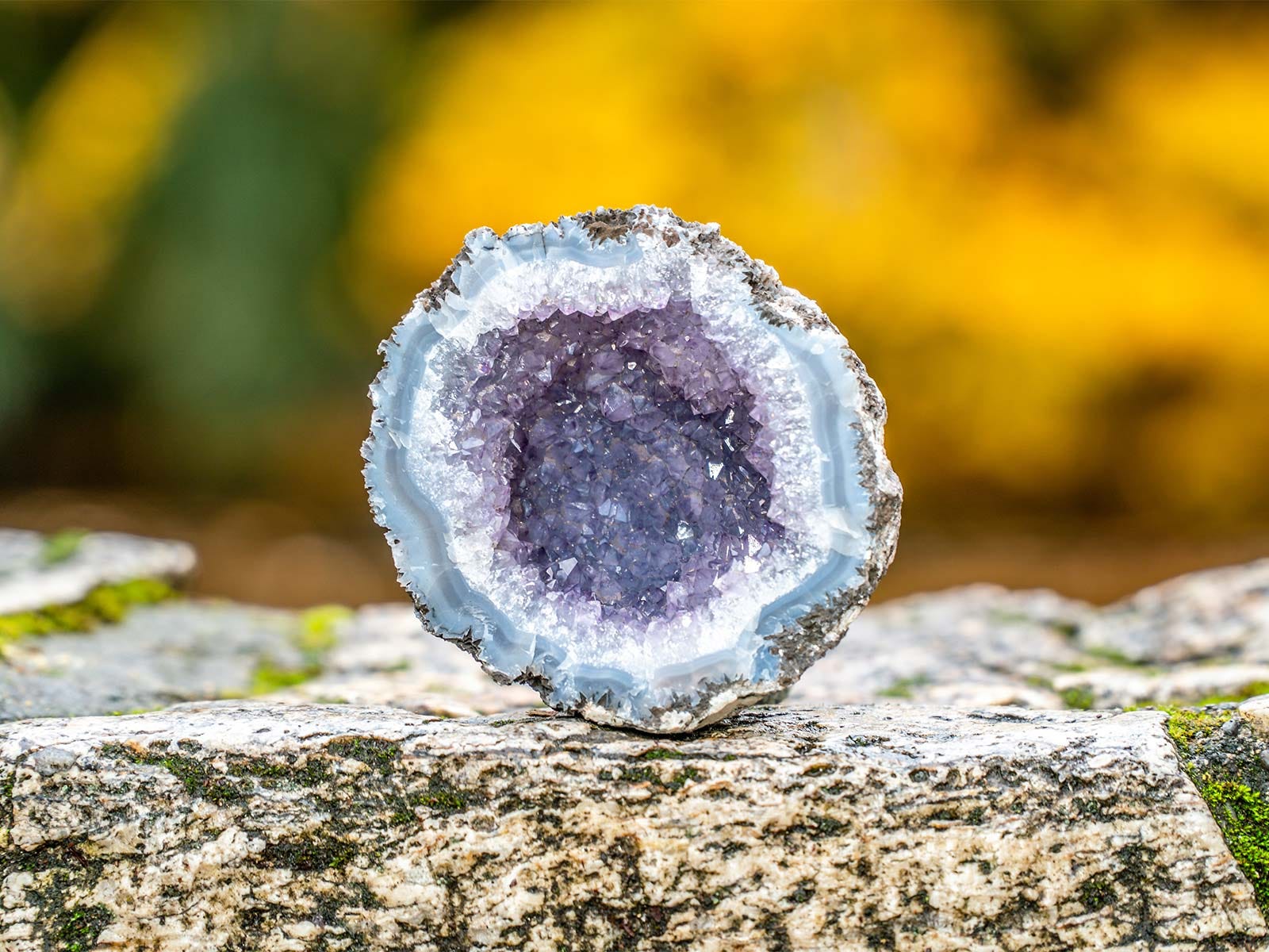 The Secret Life of Geodes - Ashley Cowles